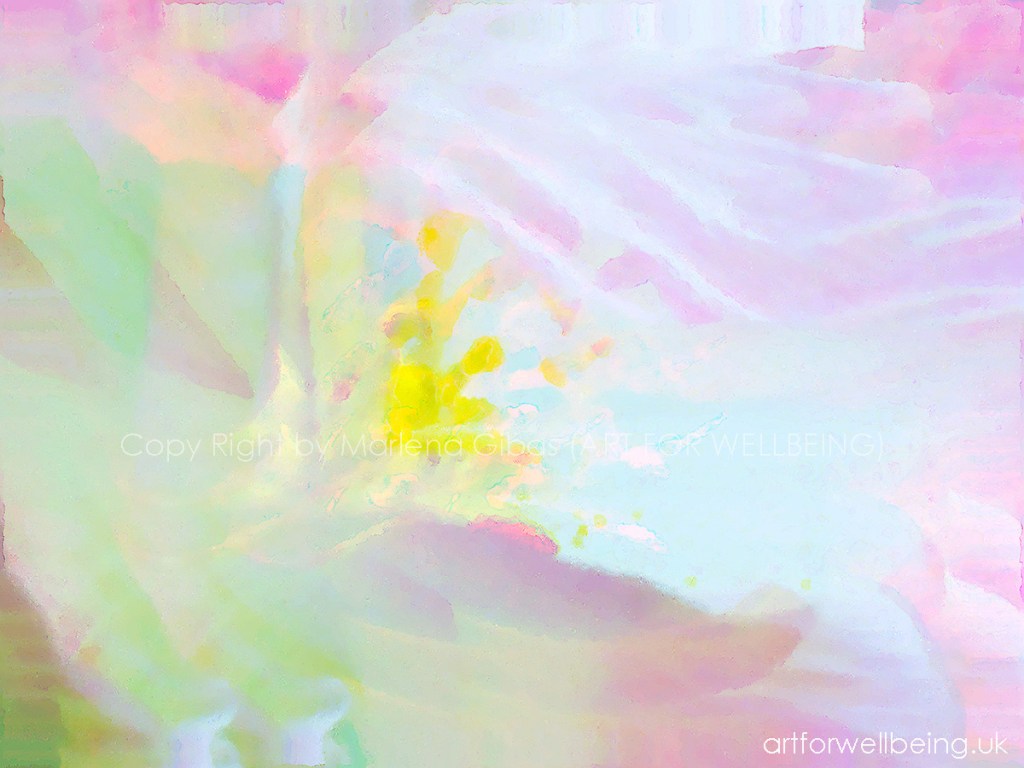 SHOP – Love & Light