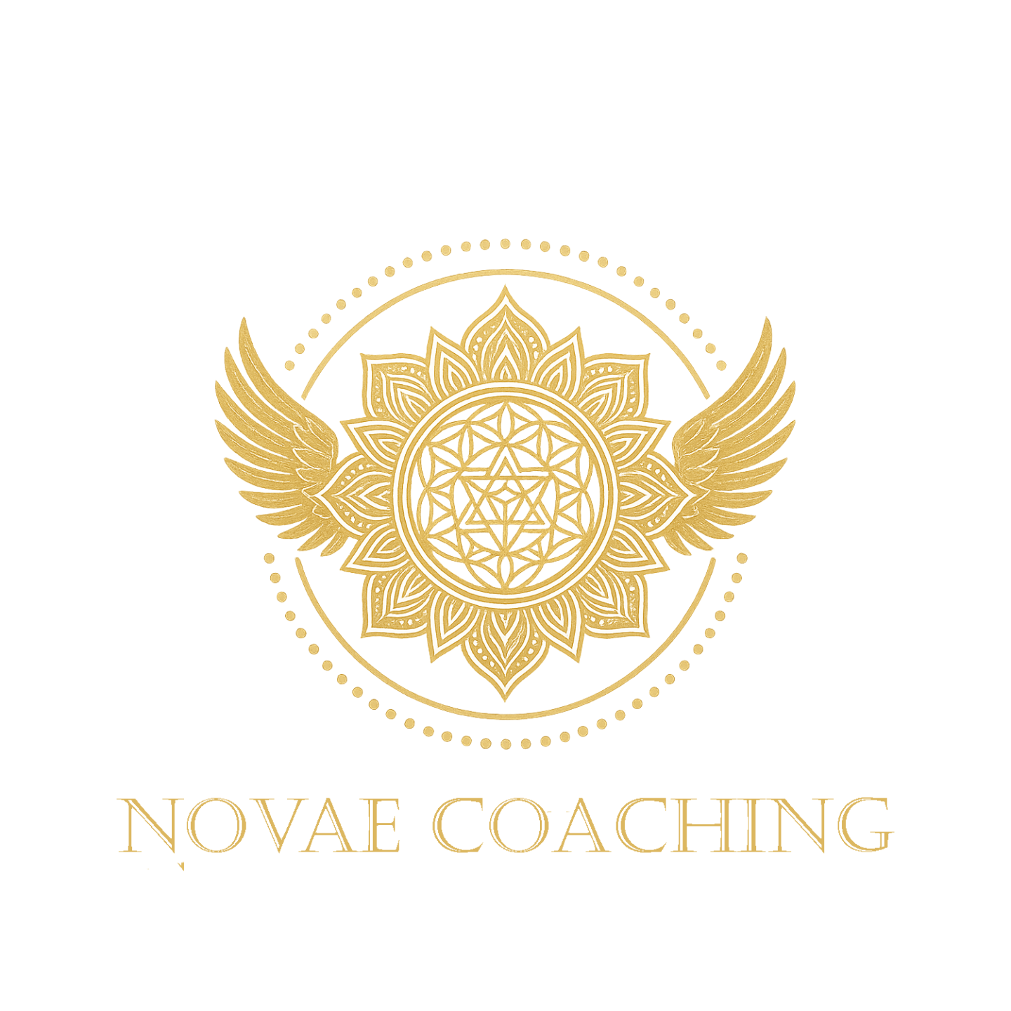 NOVAE COACHING – Novae Coaching